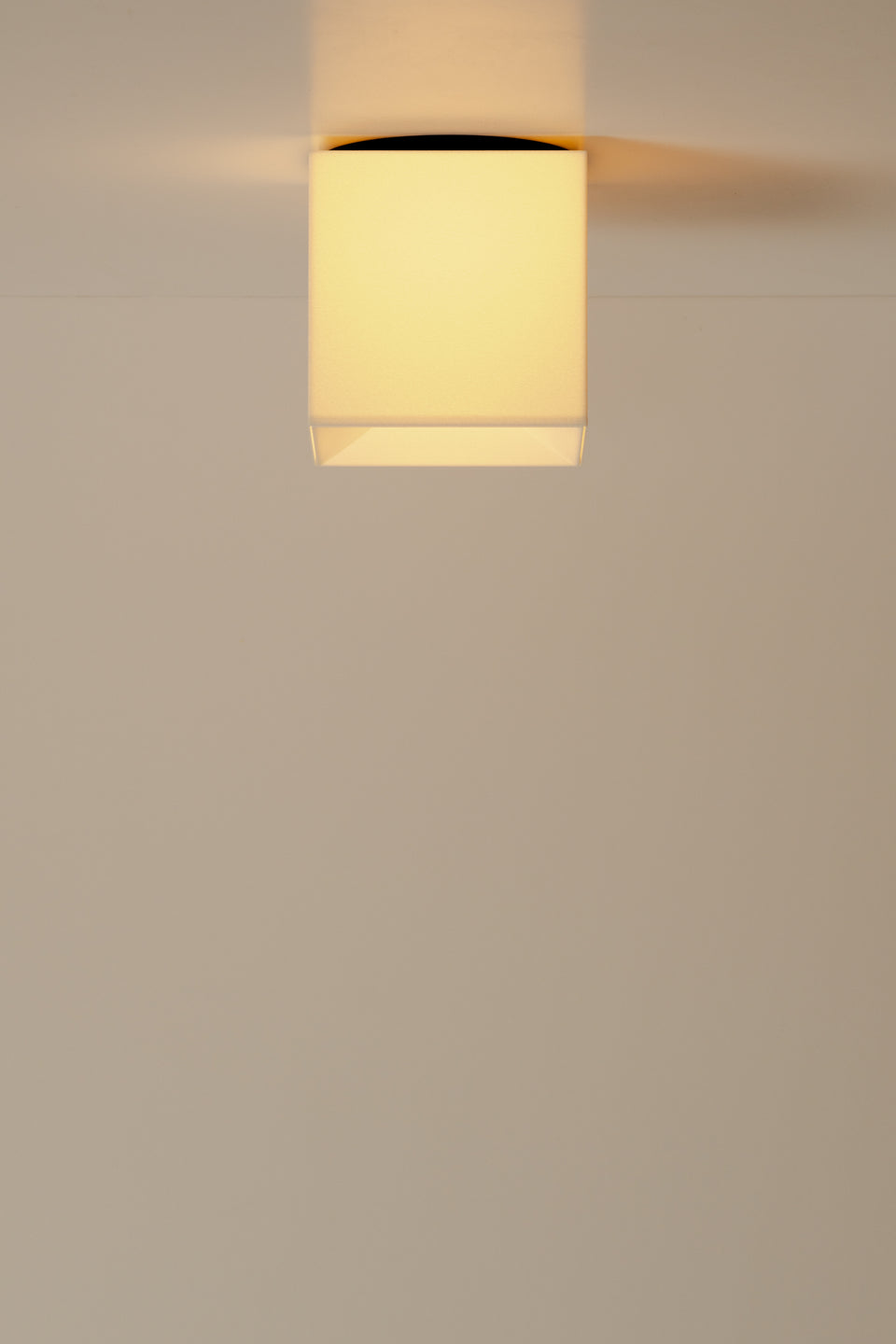 Ceiling Mount – HUMANHOME