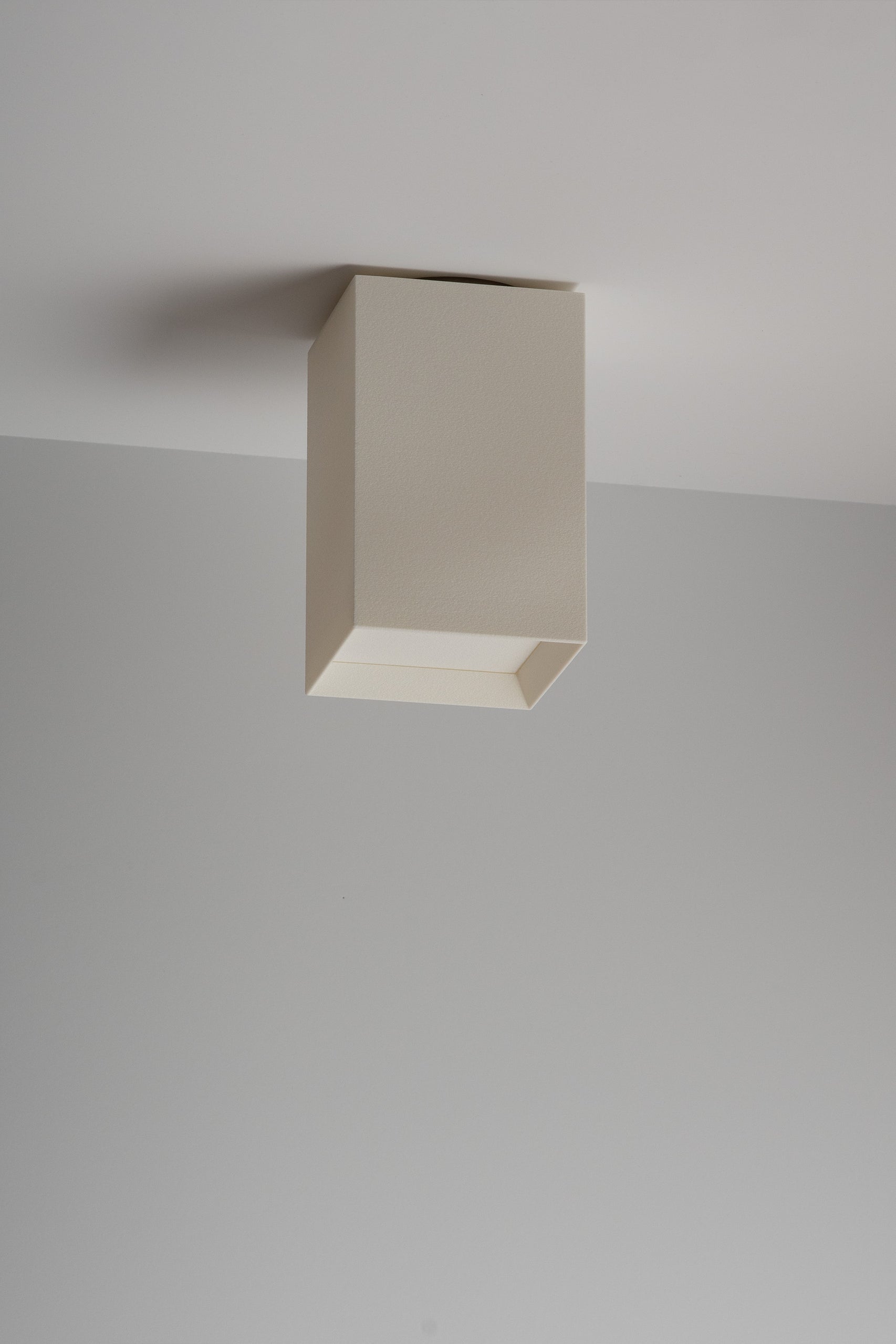 Ceiling Mount – HUMANHOME